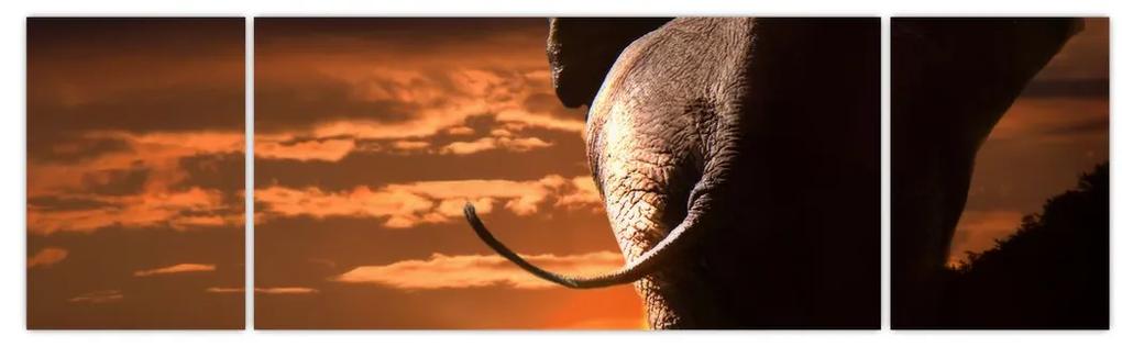 Obraz slona (170x50 cm)