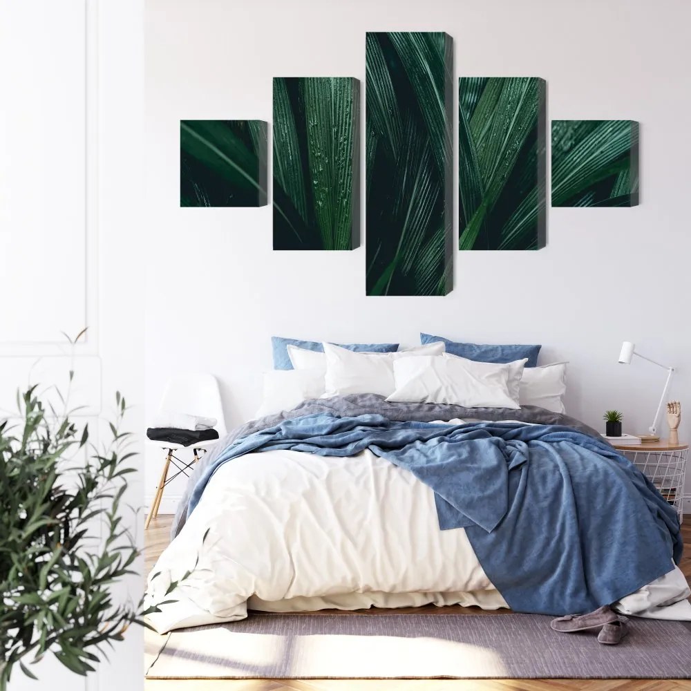Vícedílný obraz Tmavě Zelené Listy Na Makro Stupnici Nedostatek Nedostatek Plátno Canvas 150x90