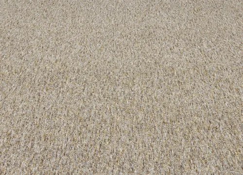 Koberce Breno Metrážový koberec SAVANNAH 33, šíře role 300 cm, Béžová, Vícebarevné
