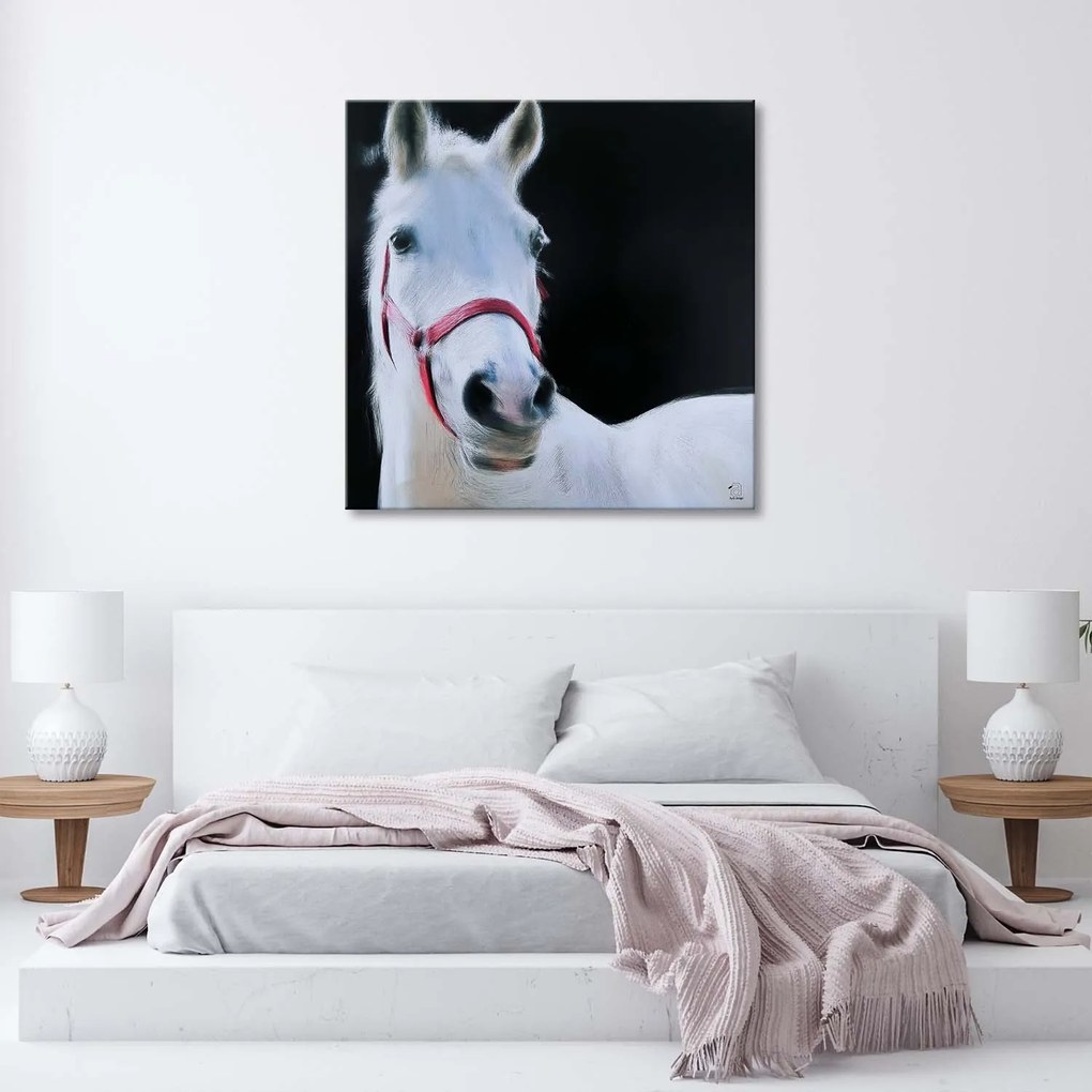 Gario Obraz na plátně Bílá koňská hlava Rozměry: 30 x 30 cm