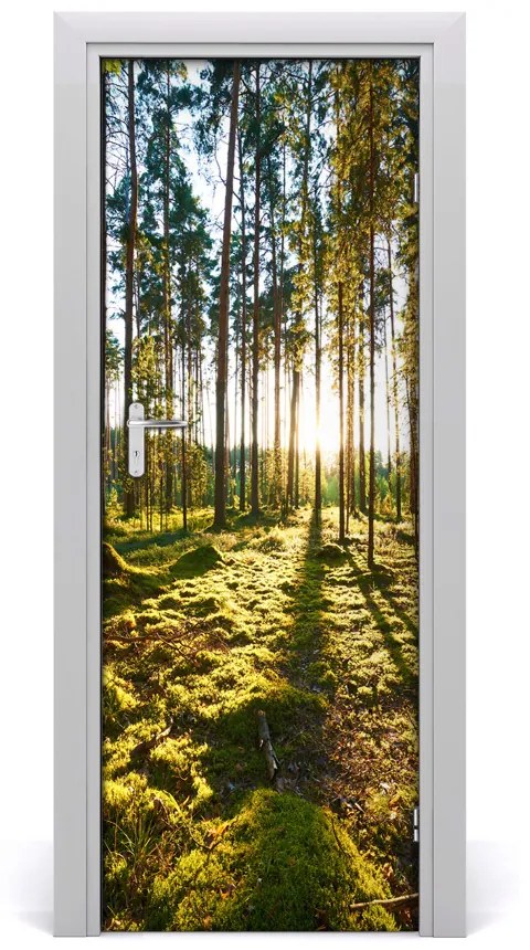 Fototapeta na dveře sosny les 85x205 cm