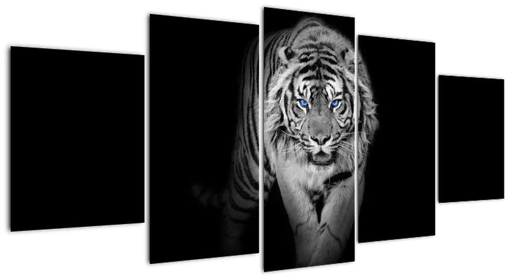Černobílý lev - obraz