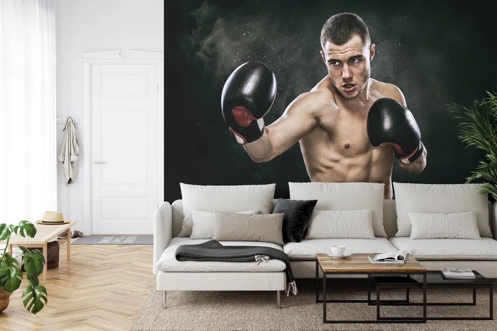 Fototapeta Muay Thai Boxer Strukturální vinyl 208x146