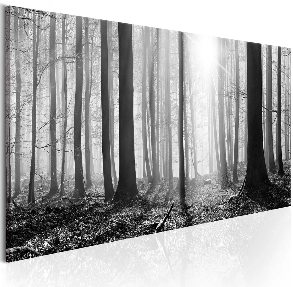 Obraz - Black and White Forest 135x45