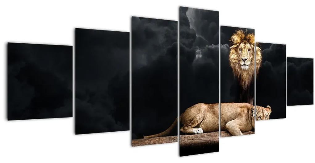 Obraz - Lev a lvice v oblacích (210x100 cm)