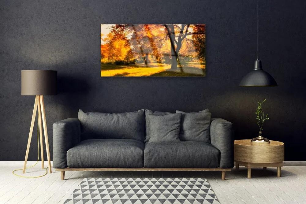 Obraz na skle Stromy Podzim Příroda 100x50 cm