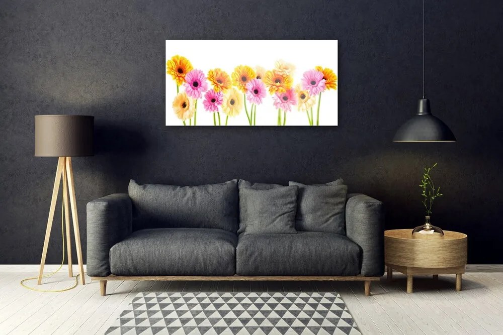 akrylový obraz Barevné Květiny Gerbery 100x50 cm