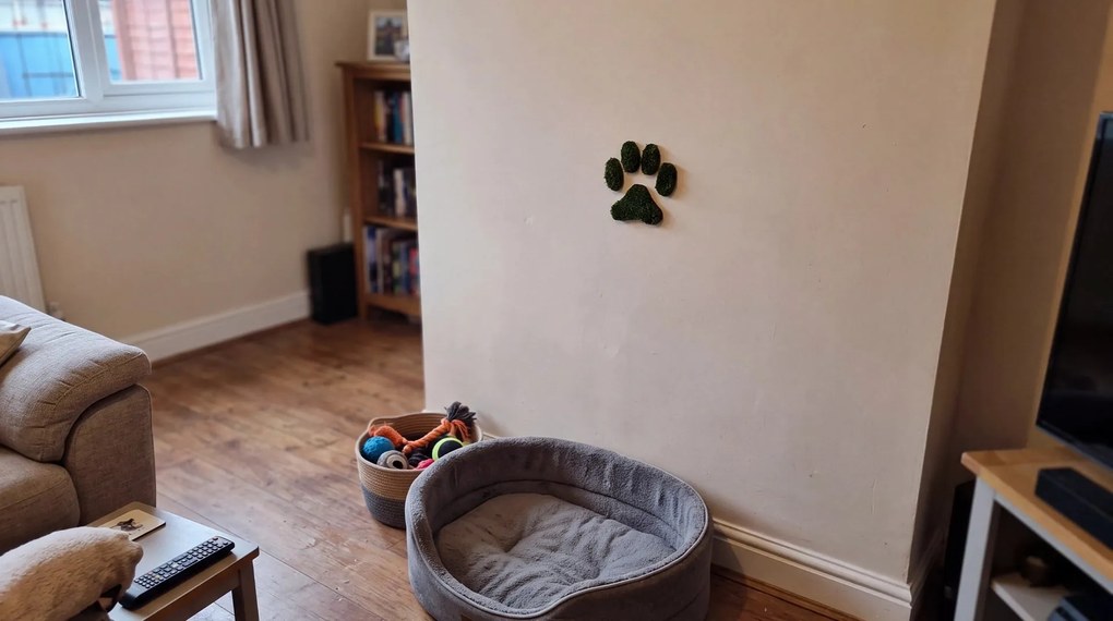 3D mechová psí tlapka DIY tvořivá sada