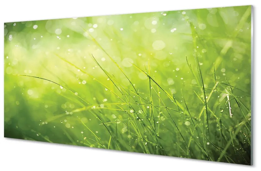 Obraz na skle Tráva kapky rosy 120x60 cm