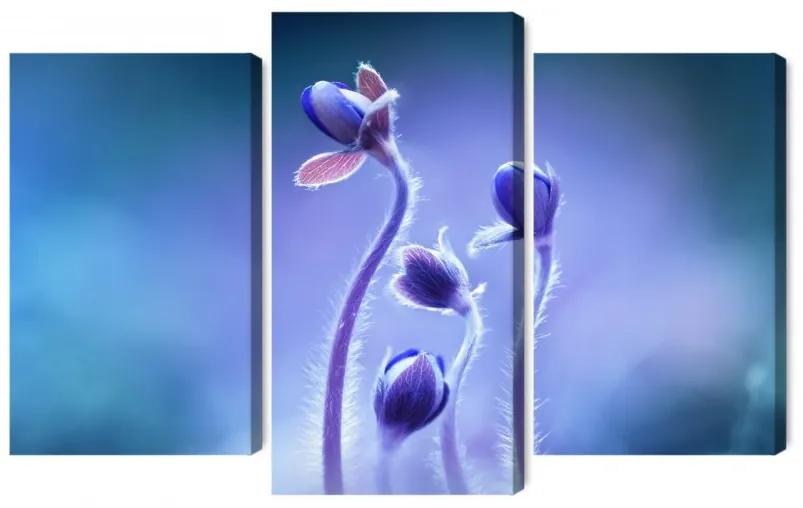 Vícedílný obraz Jemné Květiny V Makro Měřítku Nedostatek Nedostatek Plátno Canvas 90x60