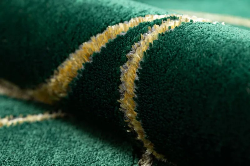 Dywany Łuszczów, Kusový koberec Emerald 1010 green and gold, 160x220, zelená, kancelář