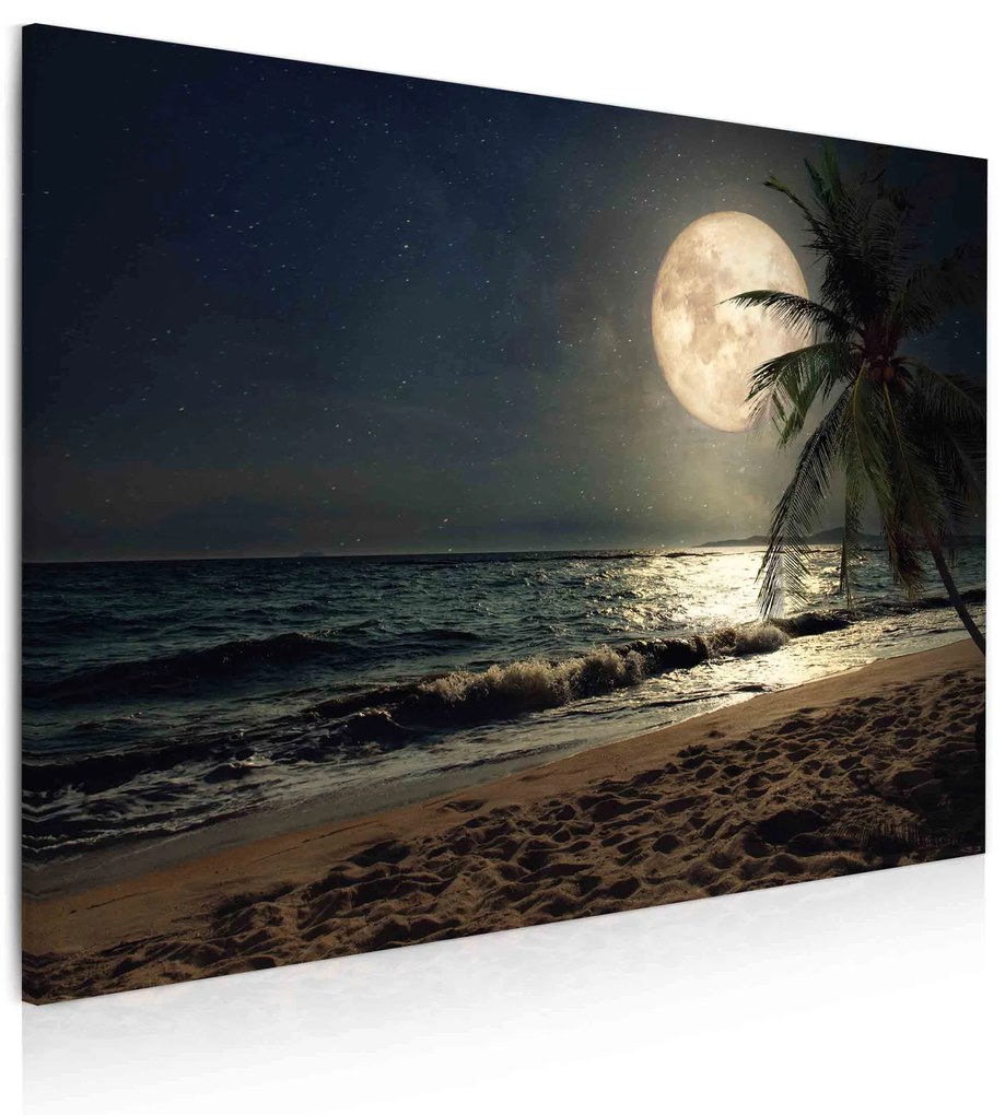 Malvis ® Obraz Pláž s palmou při měsíci Velikost: třídílný obdélník - 120x80 cm