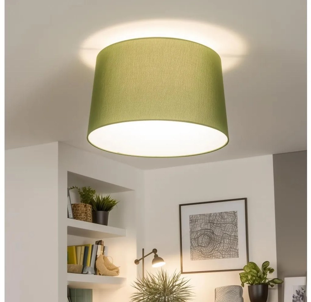 Brilagi - LED Přisazený lustr CERIA 1xE27/40W/230V pr. 45 cm zelená