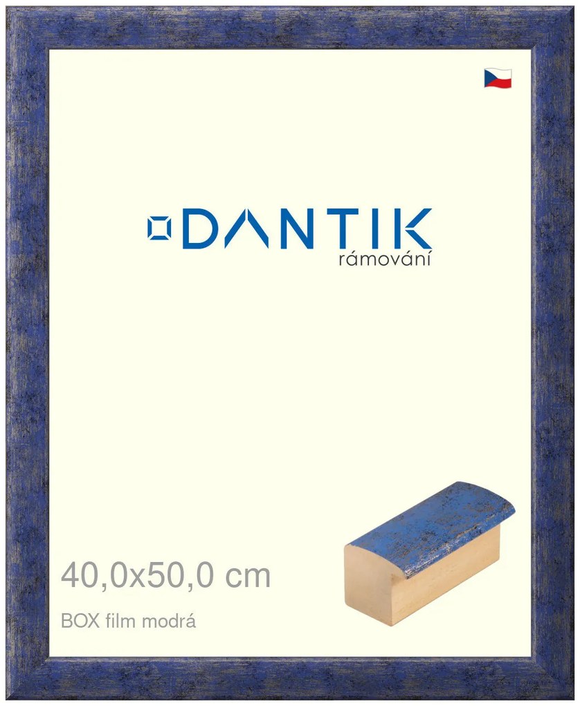 DANTIK rámeček 40x50 | BOX film modrá (Sklo Čiré)