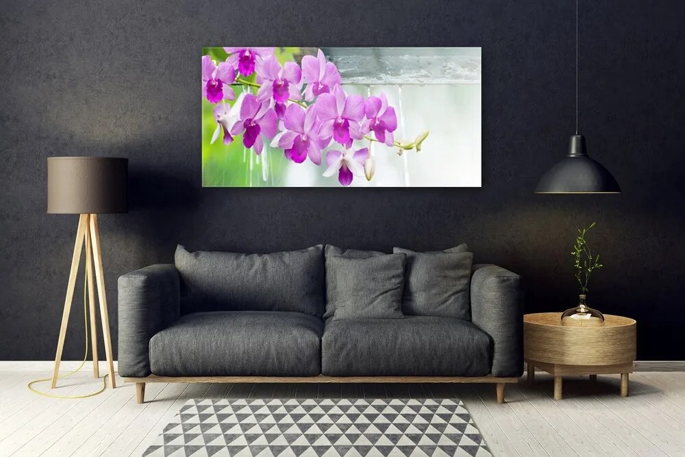 Plexisklo-obraz Orchideje Kapky Příroda 120x60 cm