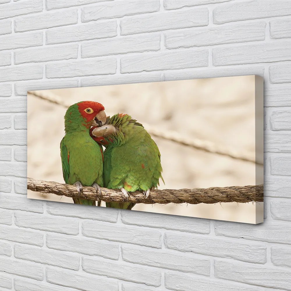 Obrazy na plátně zelené papoušci 125x50 cm