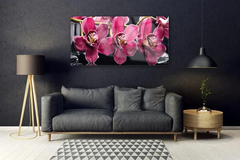 Plexisklo-obraz Květiny Orchideje  Výhonky Příroda 120x60 cm