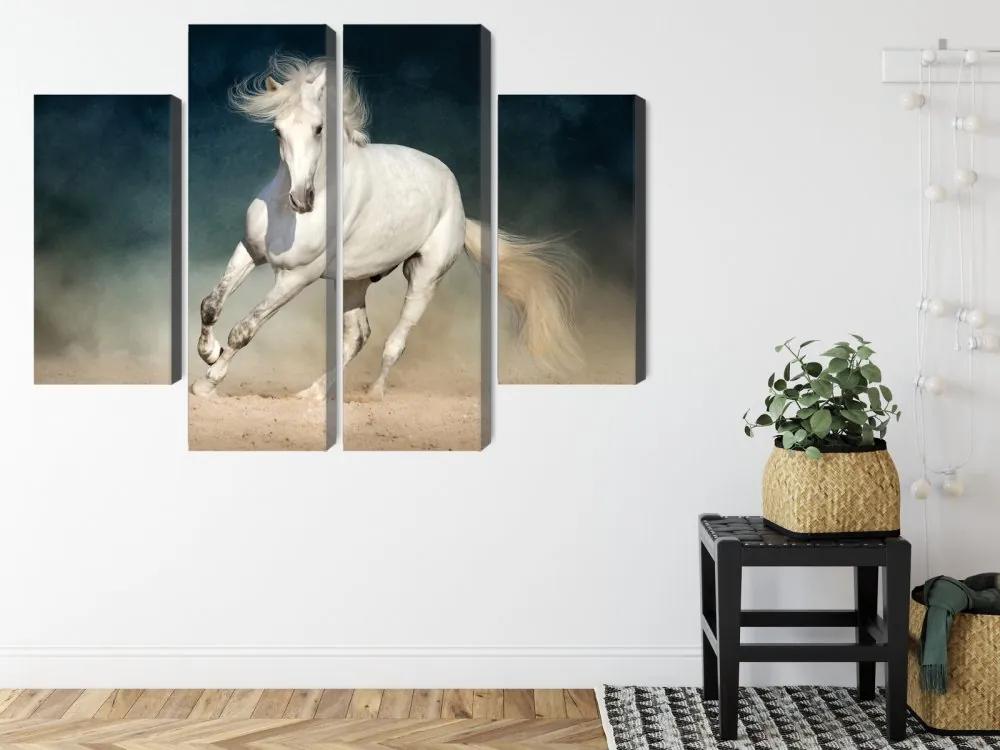 Vícedílný obraz Bílý Kůň Ve Cvalu Nedostatek Nedostatek Plátno Canvas 80x60