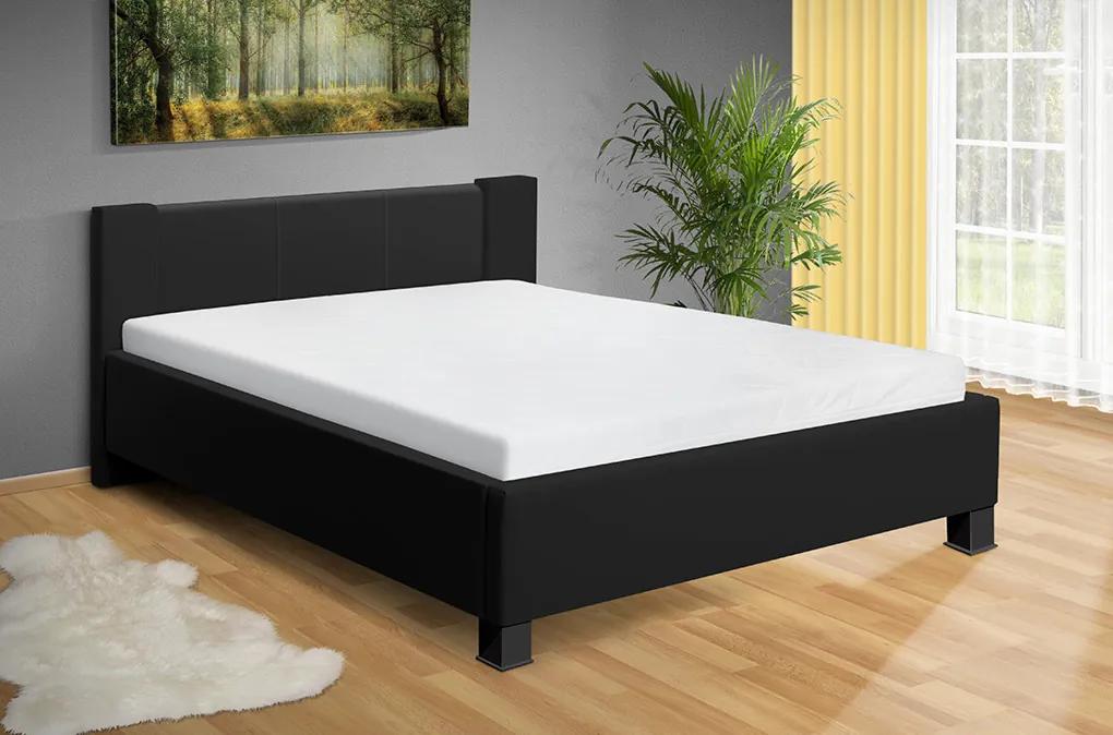 Nabytekmorava Luxusní postel Fanny 120x200 cm Barva látka: černá eko kůže, Úložný prostor: s úložným prostorem