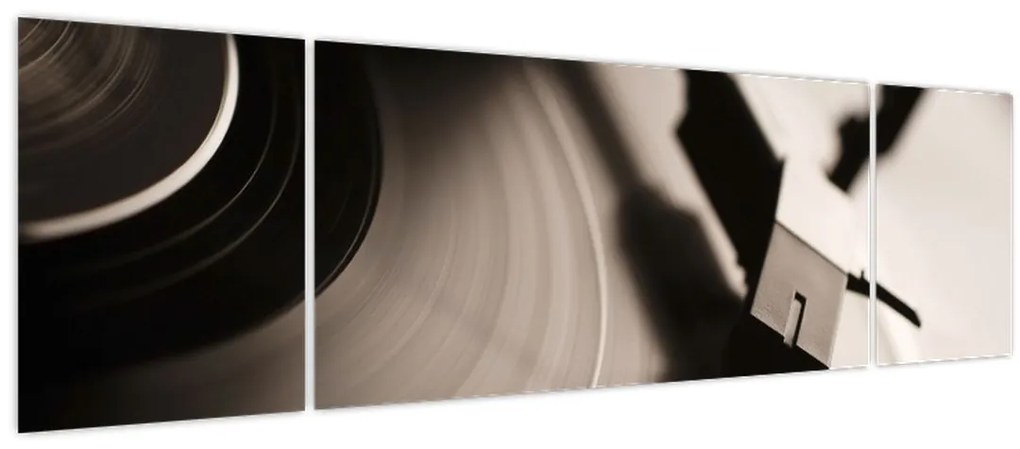 Obraz - Gramofonová deska (170x50 cm)