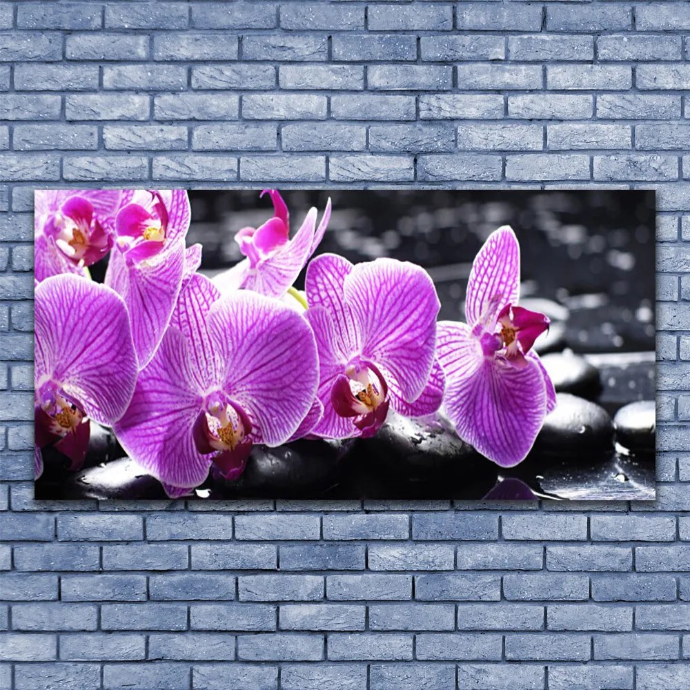 akrylový obraz Květ Kameny 120x60 cm