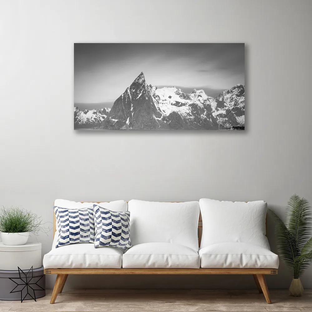 Obraz na plátně Hory Krajina 100x50 cm