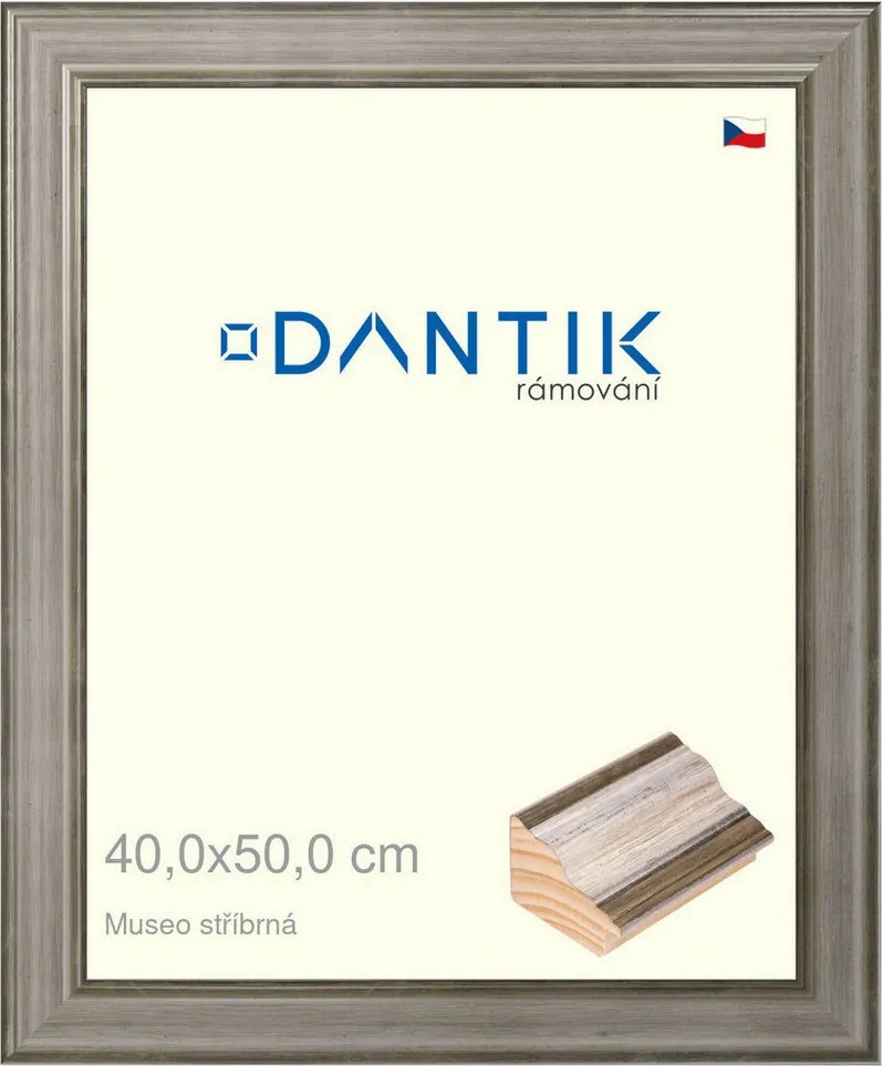 DANTIK rámeček 40x50 | Museo stříbrná (Plexi Čiré)