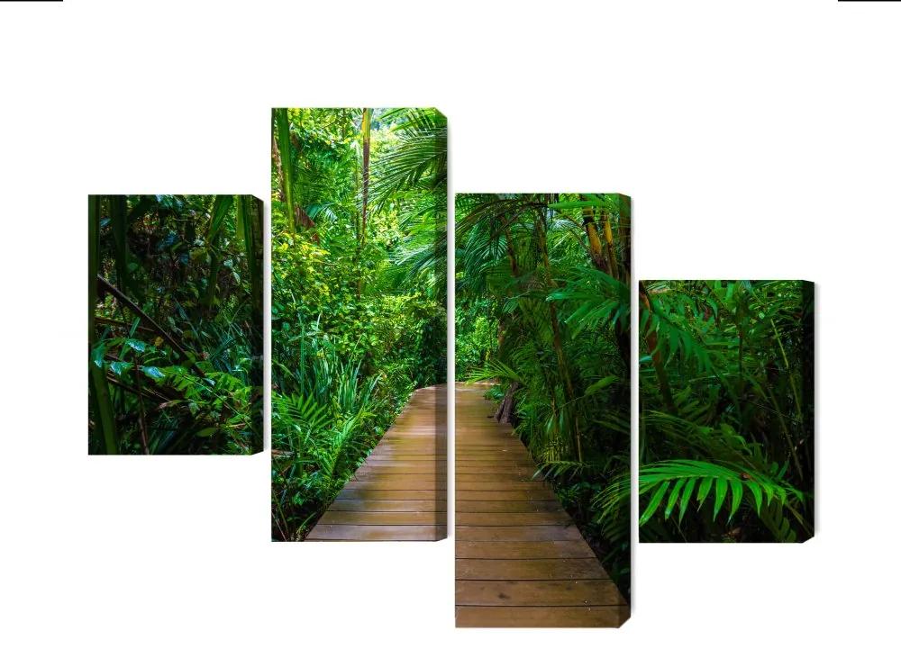 Vícedílný obraz Dřevěný Most V Tropickém Lese 3D Nedostatek Nedostatek Přírodní plátno 160x100