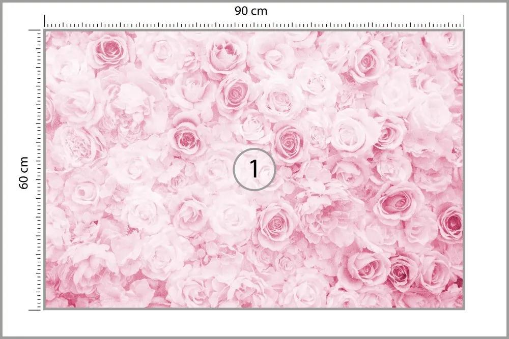 Fototapeta Vybledlé Květinové Vintage Růžové Omyvatelný vlies 416x254
