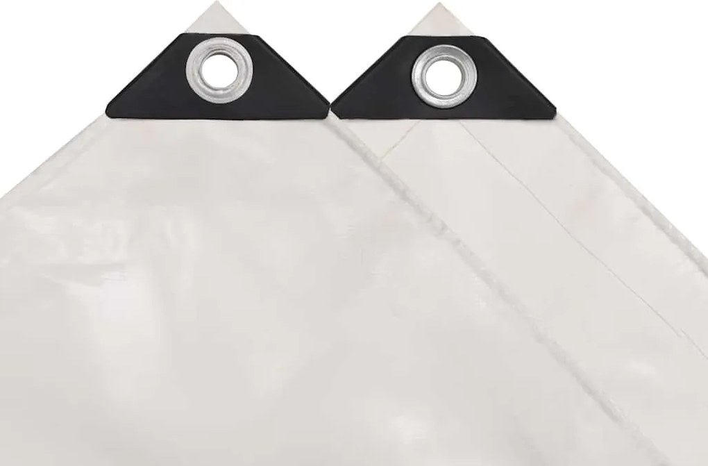 Plachta 650 g/m² 5 x 6 m bílá 144913