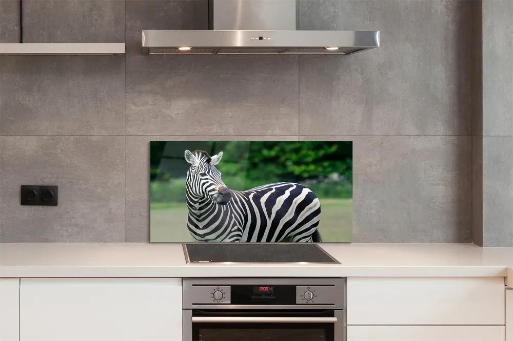 Skleněný panel Zebra box 140x70 cm