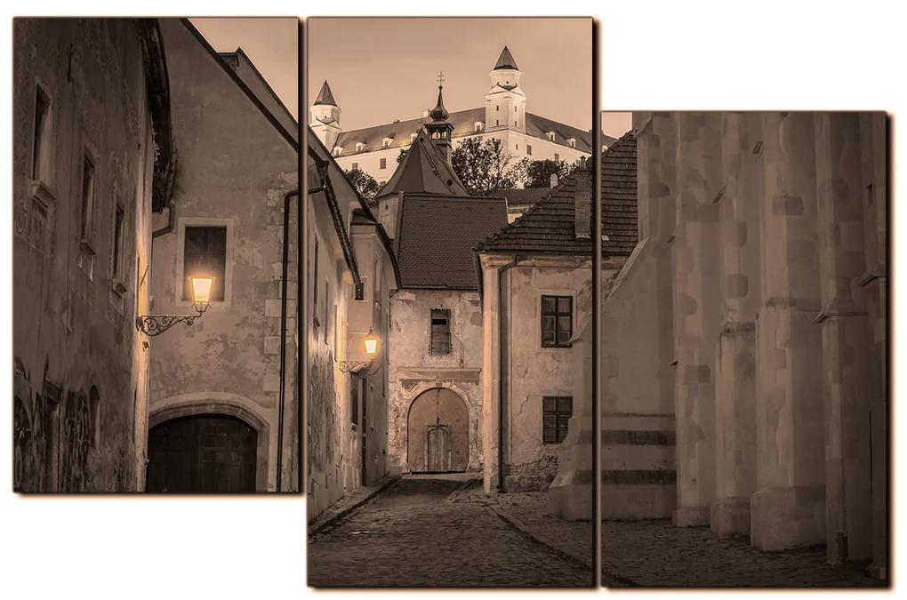 Obraz na plátně - Bratislava staré město s hradem vzadu 1265FD (135x90 cm)