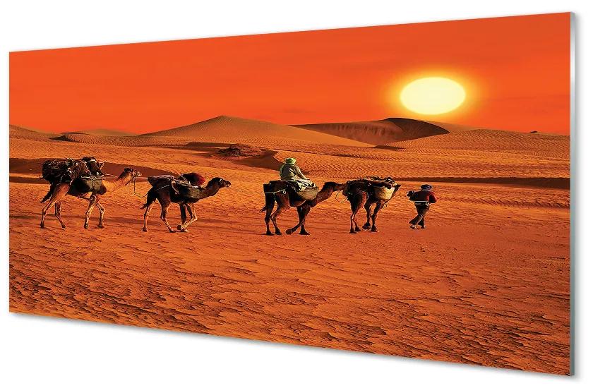 akrylový obraz Velbloudi lidí pouštní slunce nebe 100x50 cm