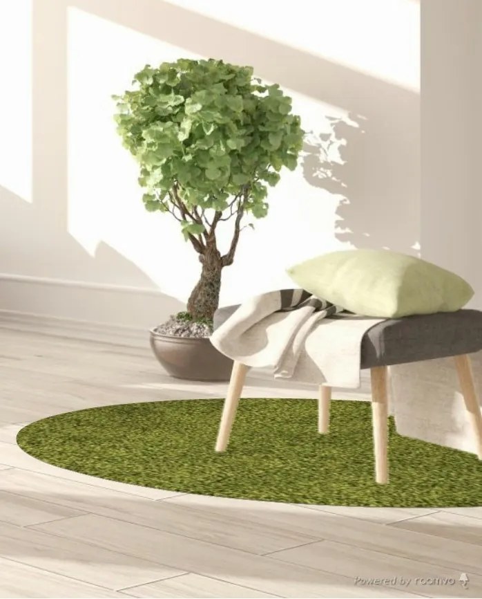 Ayyildiz, Kusový koberec Life Shaggy 1500 green kruh, 80x80 (průměr) kruh, zelená, ložnice
