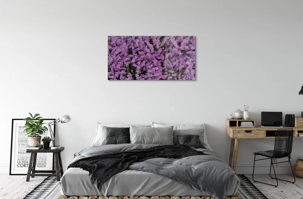 Obraz na skle fialové květy 140x70 cm