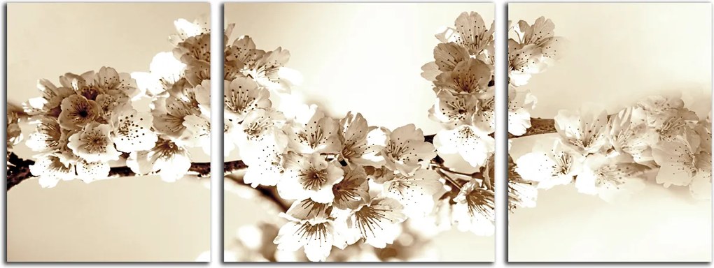 Obraz Hnědé květy , vícedílný