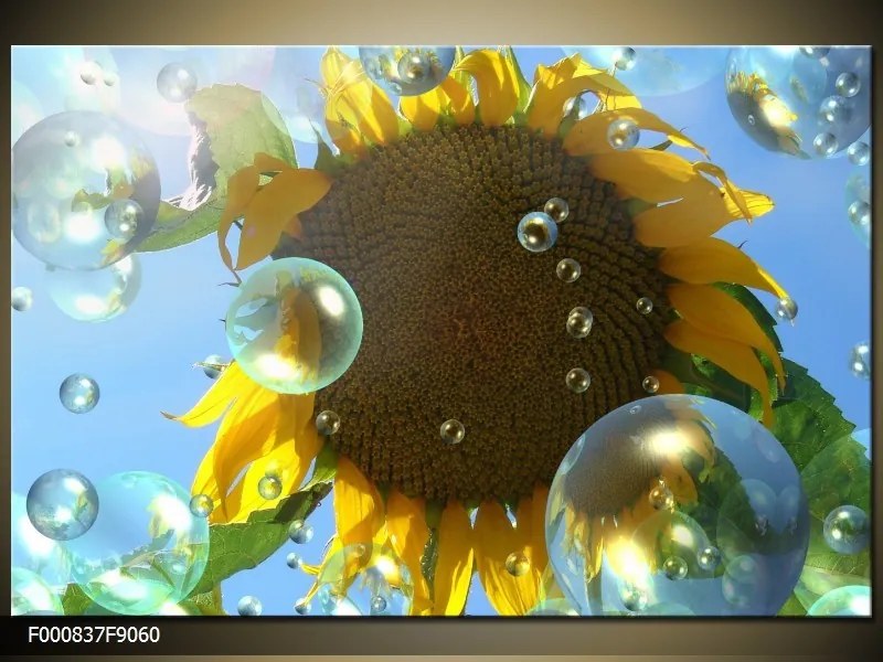 Obraz na plátně Slunečnice pod vodou, Obdélník 90x60cm 1520 Kč
