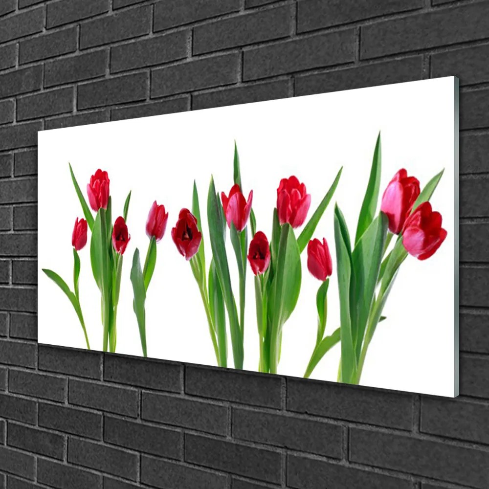 Obraz na skle Tulipány Květiny Rostlina 100x50 cm