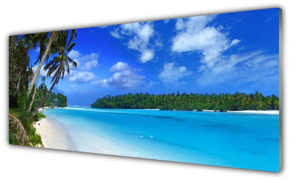 akrylový obraz Pláž Palmy Moře Krajina 125x50 cm