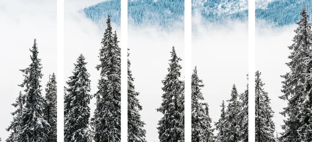 5-dílný obraz zasněžené borové stromy - 200x100 cm
