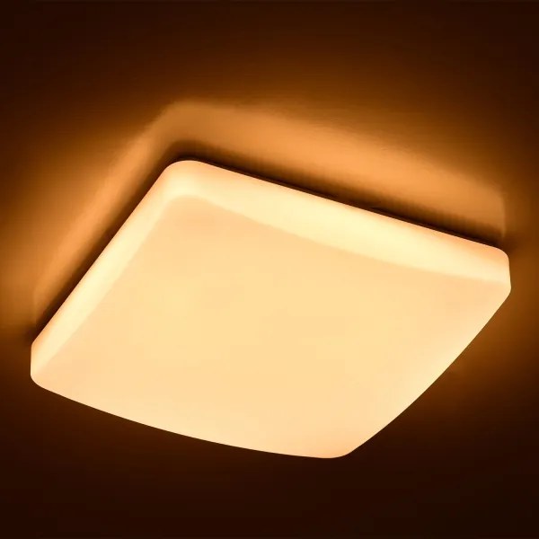 Brilagi - LED Stmívatelné stropní svítidlo OPAL LED/24W/230V 3000/4000/6500K+DO