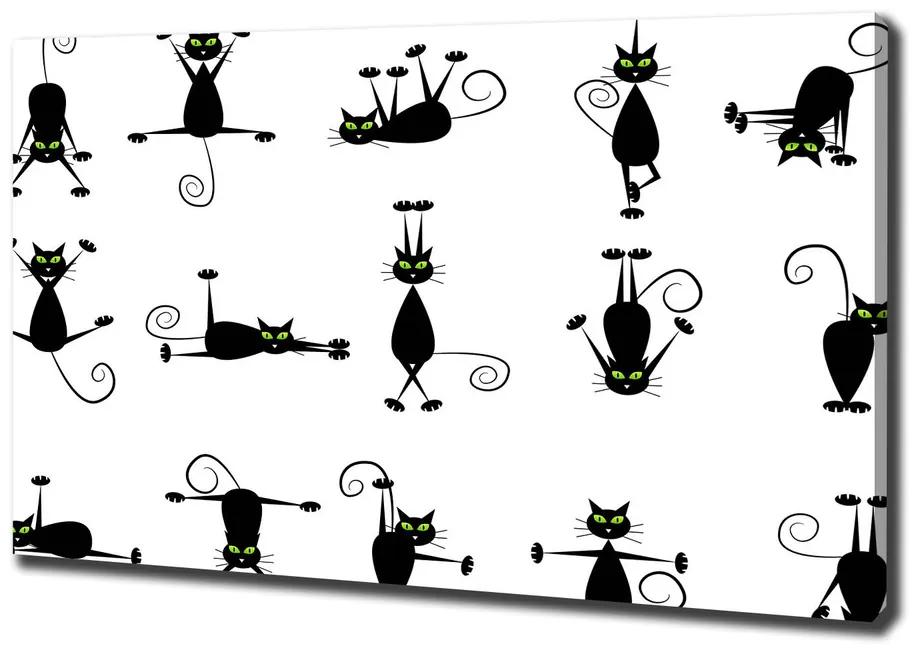 Wallmuralia Moderní obraz canvas na rámu Kočky ilustrace 100x70 cm