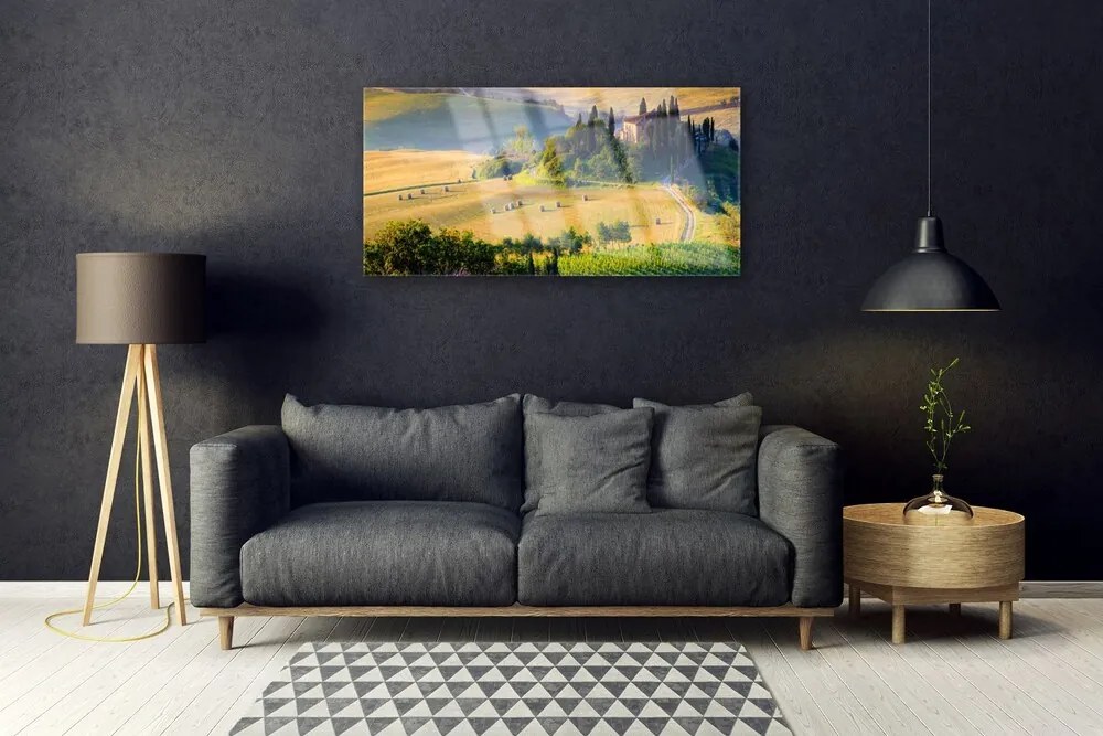 akrylový obraz Pole Stromy Krajina 100x50 cm