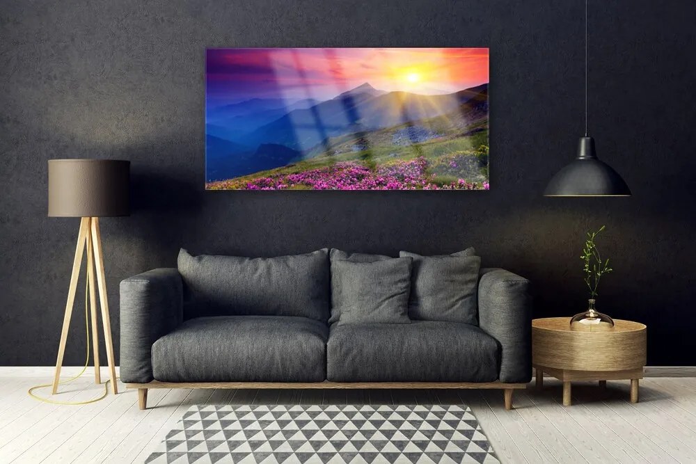 akrylový obraz Hory Květ Louka Krajina 120x60 cm