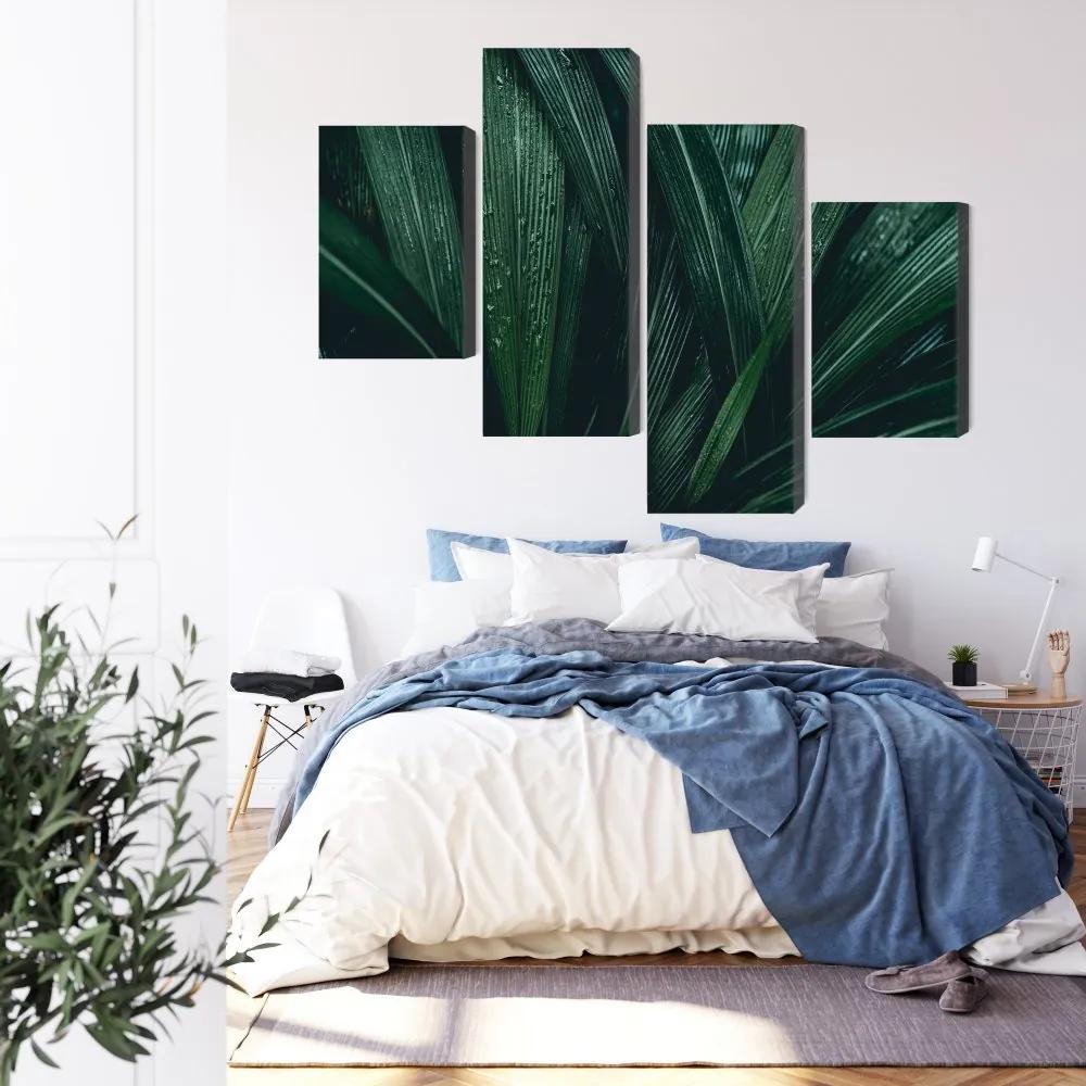 Vícedílný obraz Tmavě Zelené Listy Na Makro Stupnici Nedostatek Nedostatek Plátno Canvas 120x75