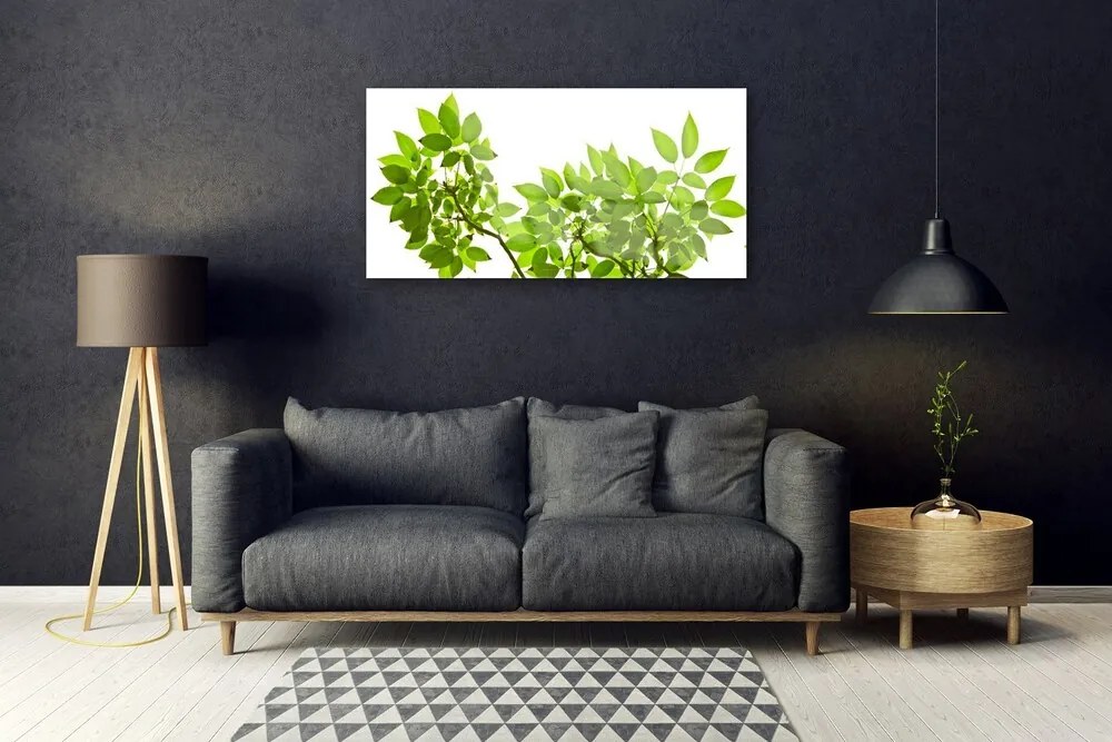 Obraz na skle Větev Listy Rostlina Příroda 140x70 cm