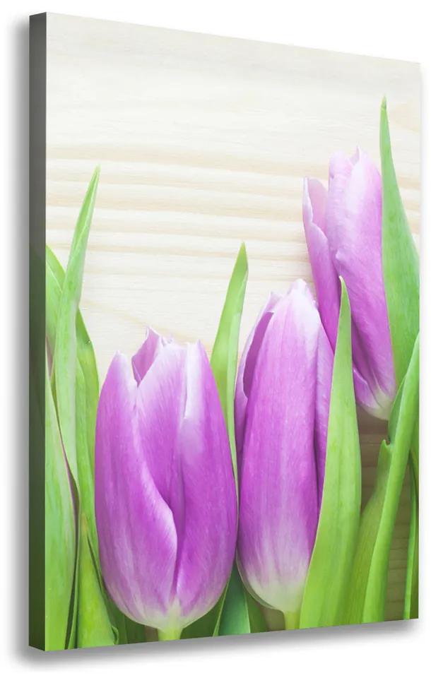 Wallmuralia Foto obraz na plátně Fialové tulipány 70x100 cm