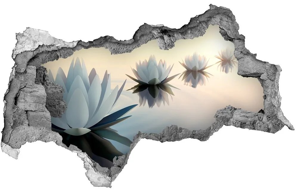 Wallmuralia Samolepící díra na stěnu Květy lotosu 95x73 cm