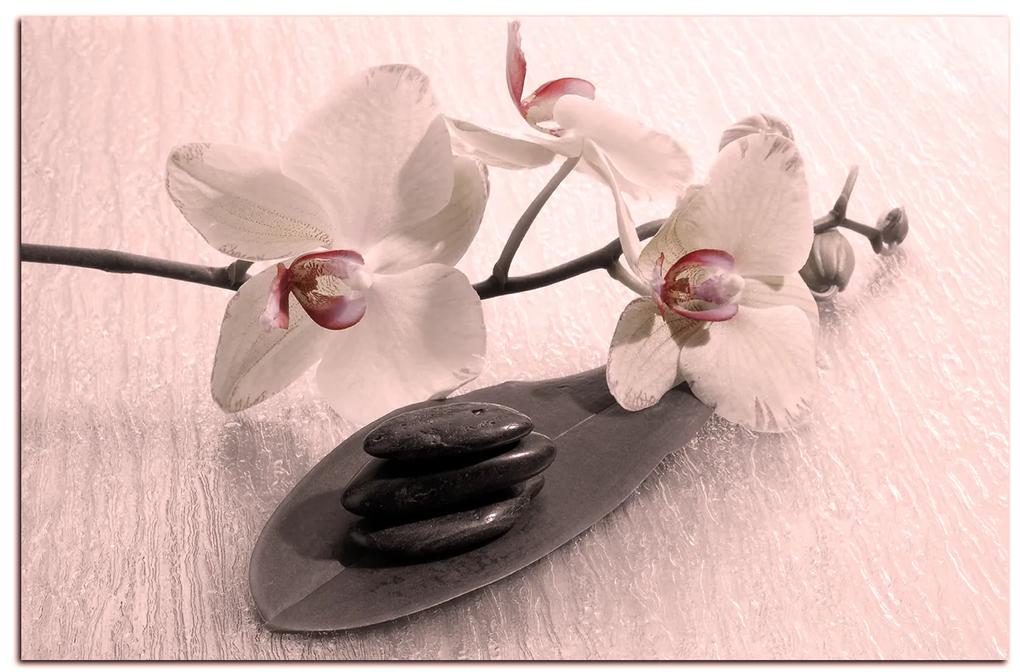 Obraz na plátně - Květy orchideje 162FA (120x80 cm)