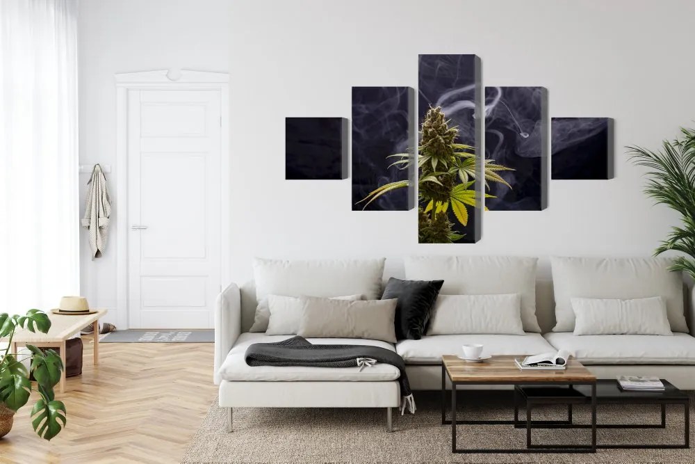 Vícedílný obraz Rostlina Konopí Na Zakouřeném Pozadí Nedostatek Nedostatek Plátno Canvas 200x120